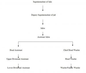 District Organizational Chart – Directorate of Prisons