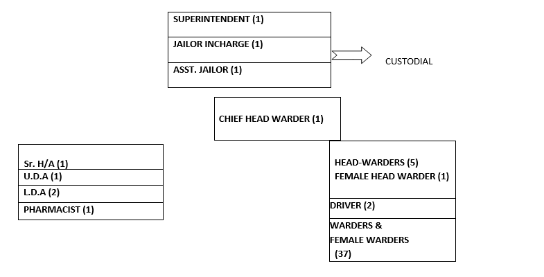 Organizational Chart District Jail Mokokchung – Directorate of Prisons