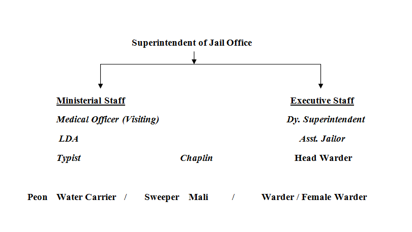 Organizational chart – Directorate of Prisons